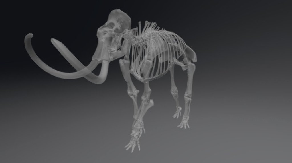 Woolly Mammoth - Smithsonian Institute X3D - 3D model by Interactive 3D ...