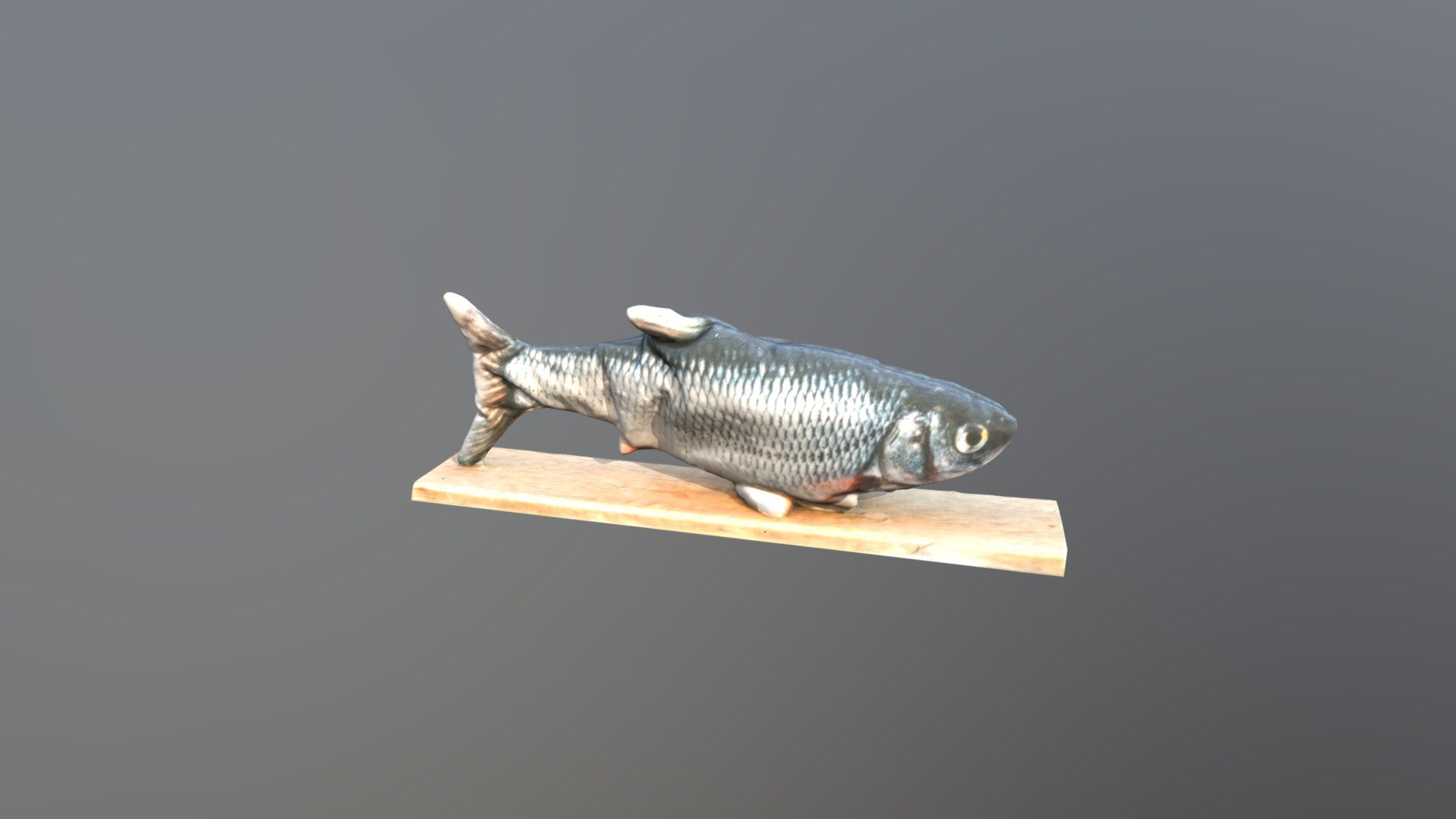 Fish 3D Scan - 3D model by 360scans [83f41f5] - Sketchfab