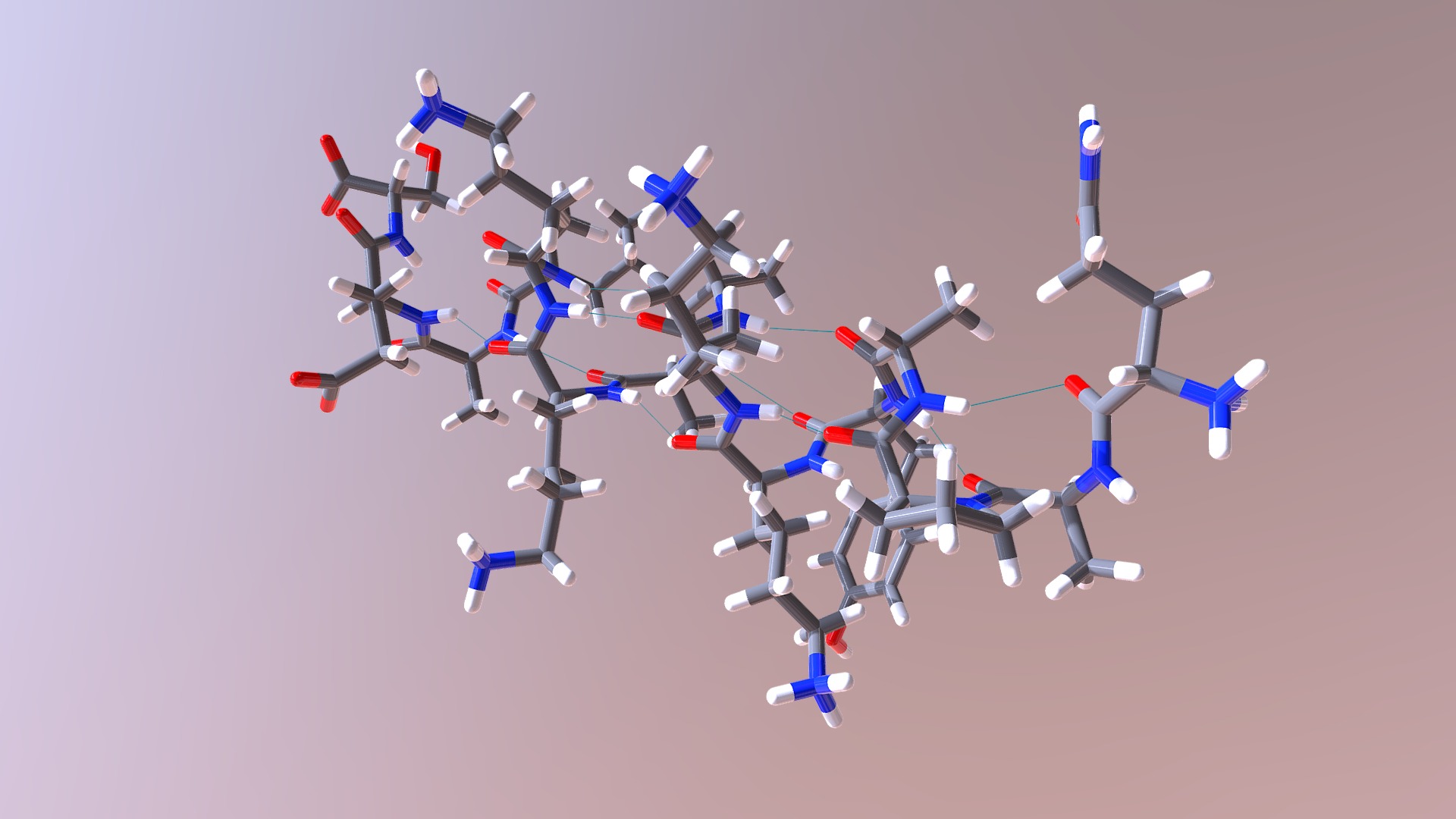 Stick Representation of a Short Polypeptide - 3D model by MedChemProf ...