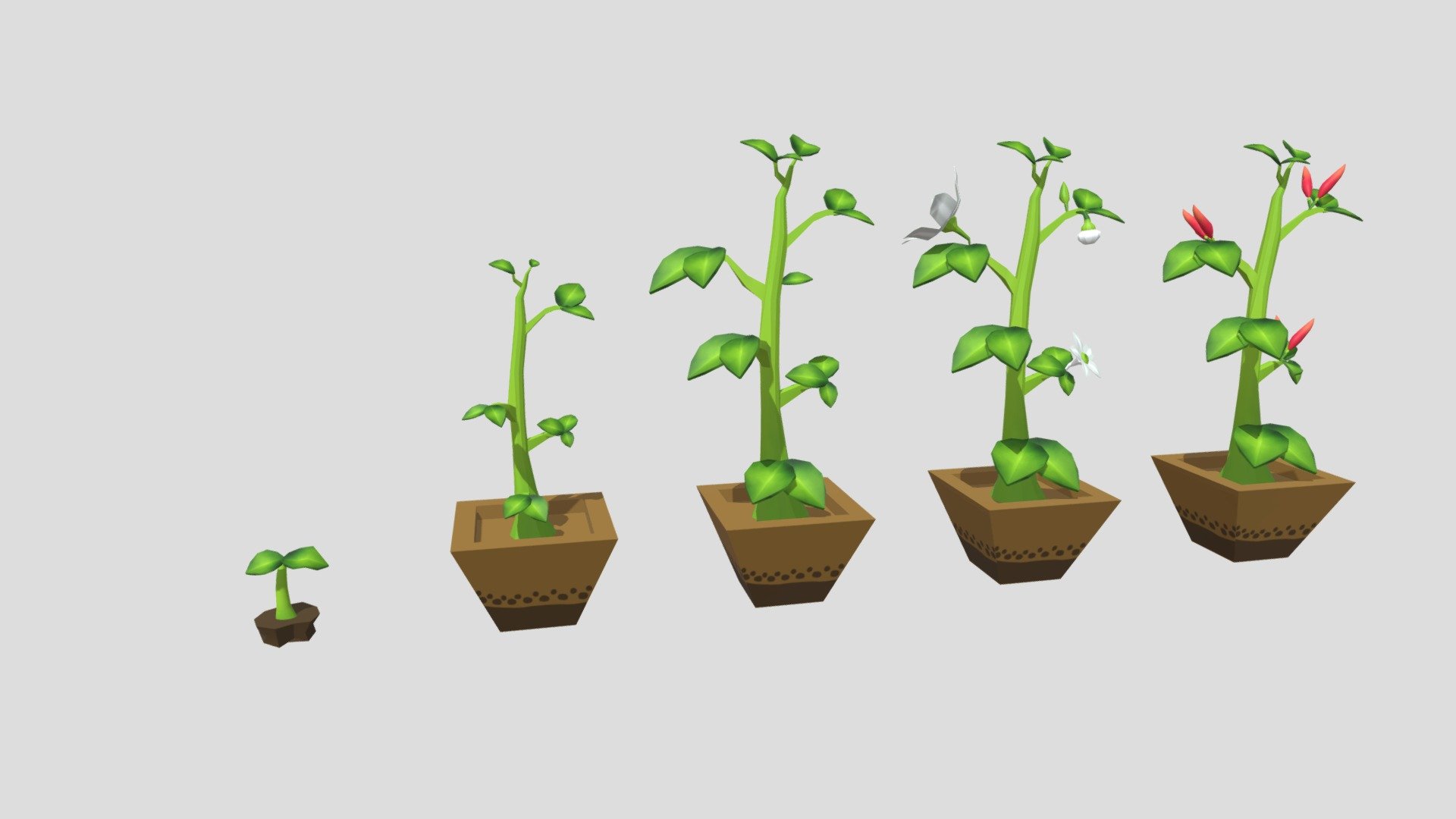 All_chilli - 3D model by Suthimon.Laochuensakun [83ff5e2] - Sketchfab