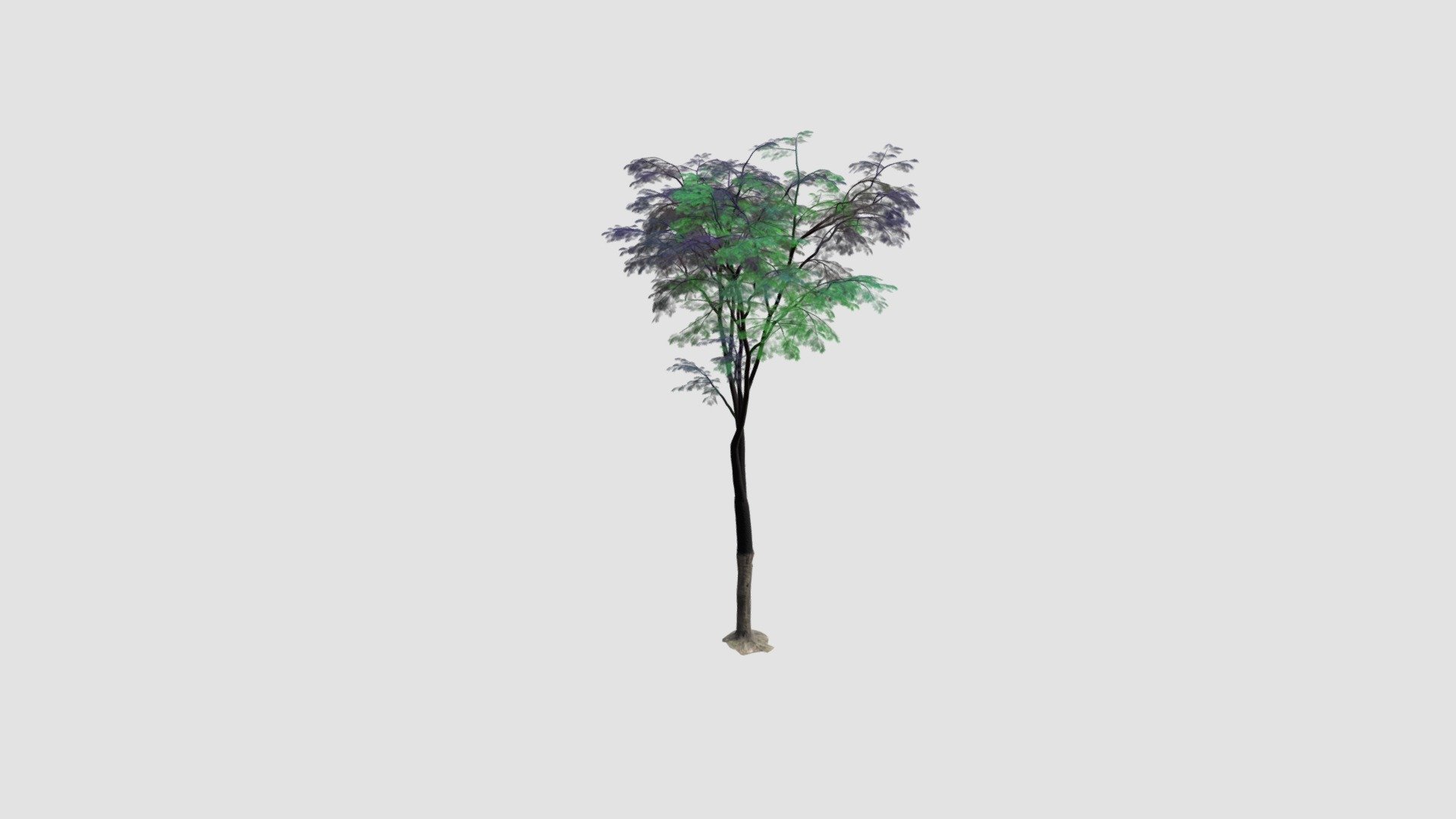 Tree - Buy Royalty Free 3D model by Evermotion [84081ca] - Sketchfab Store
