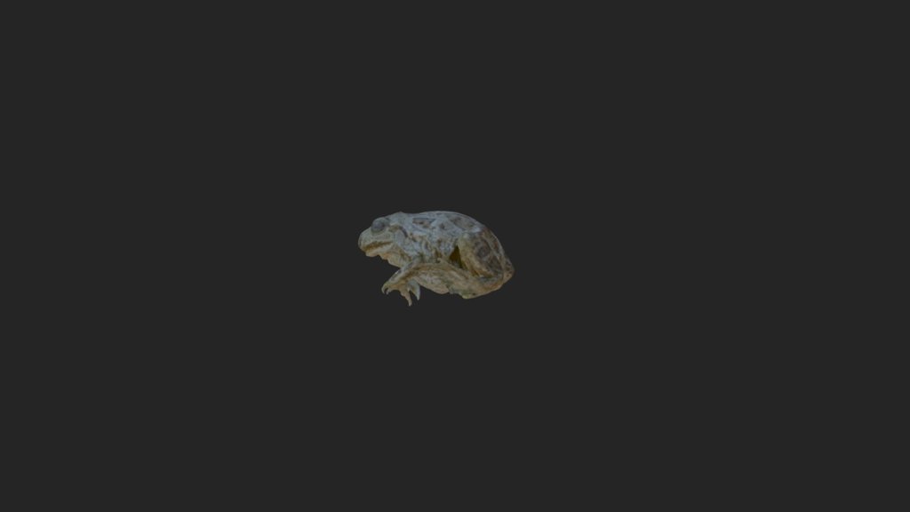 Byron Complete - 3D model by custardo [840cc31] - Sketchfab