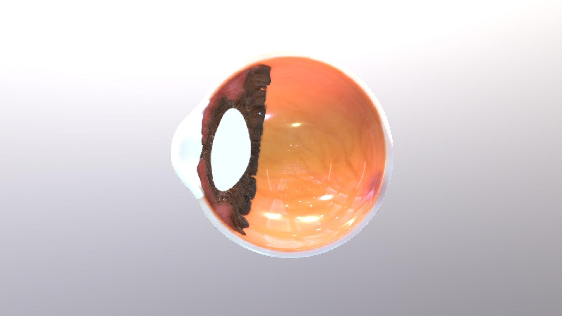 2023 Eye cross-section - 3D model by AUmedart [840ce43] - Sketchfab