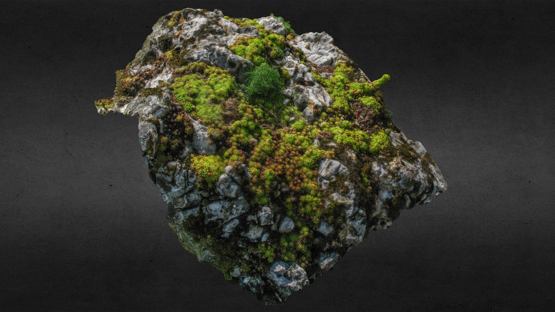 Mountain vegetation - Buy Royalty Free 3D model by SenYul [8410a70 ...