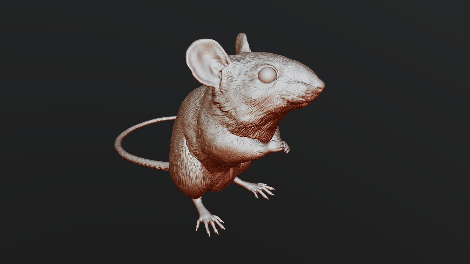 Wood Mouse - Buy Royalty Free 3D model by labradoritewolf [8417557 ...