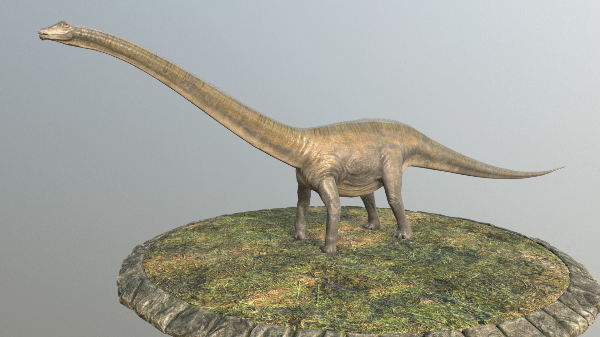 Diplodocus - 3D model by Yode (@yodegroup) [8425726] - Sketchfab