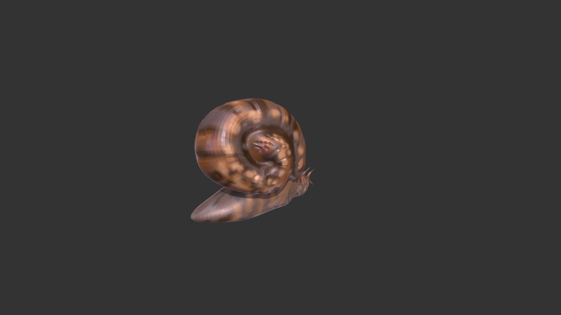 Snail - 3D model by s.macphereson [8425747] - Sketchfab