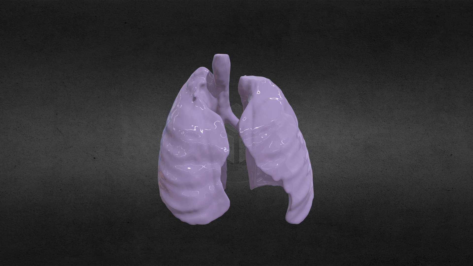 Segmentation Lungs - 3D model by tjaden [8427174] - Sketchfab