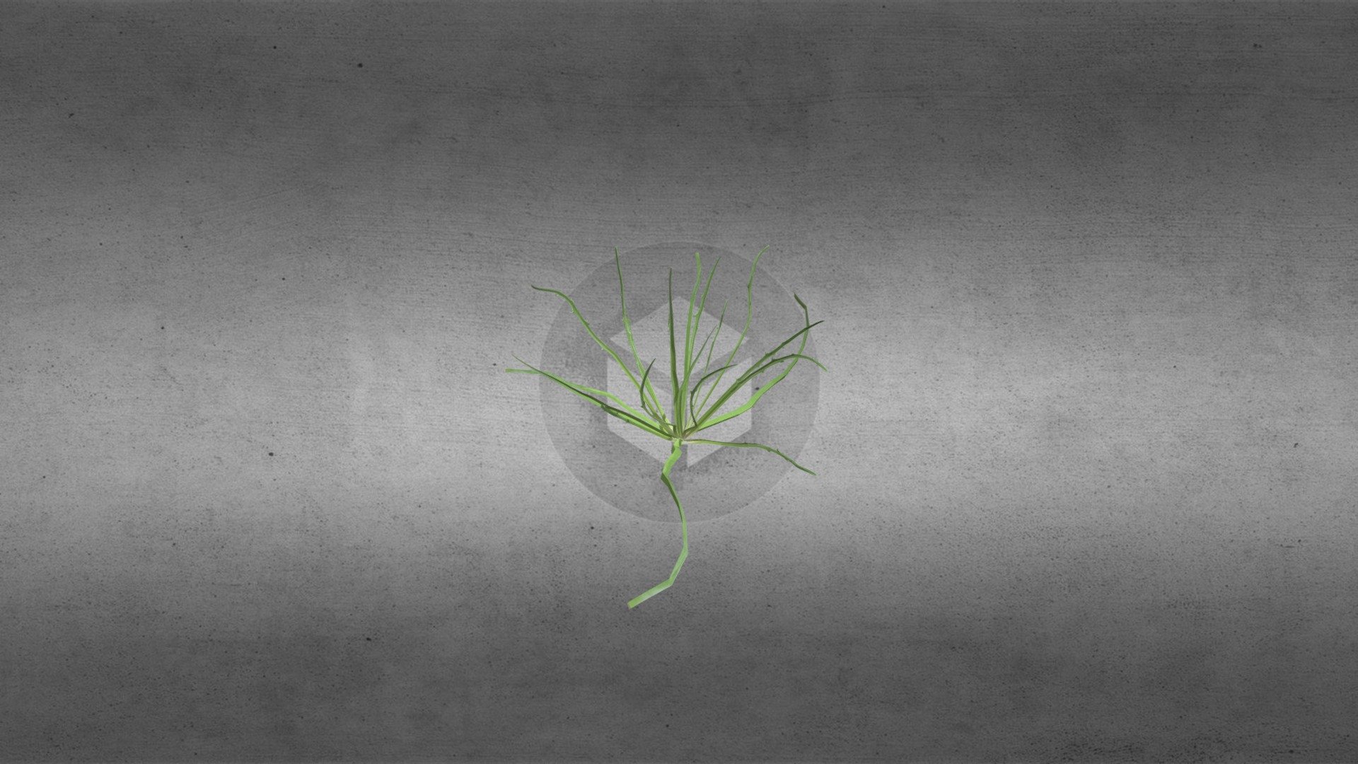 Murnong (Attempt 1) - 3D model by Thomas J. Keep (@thomas.j.keep ...