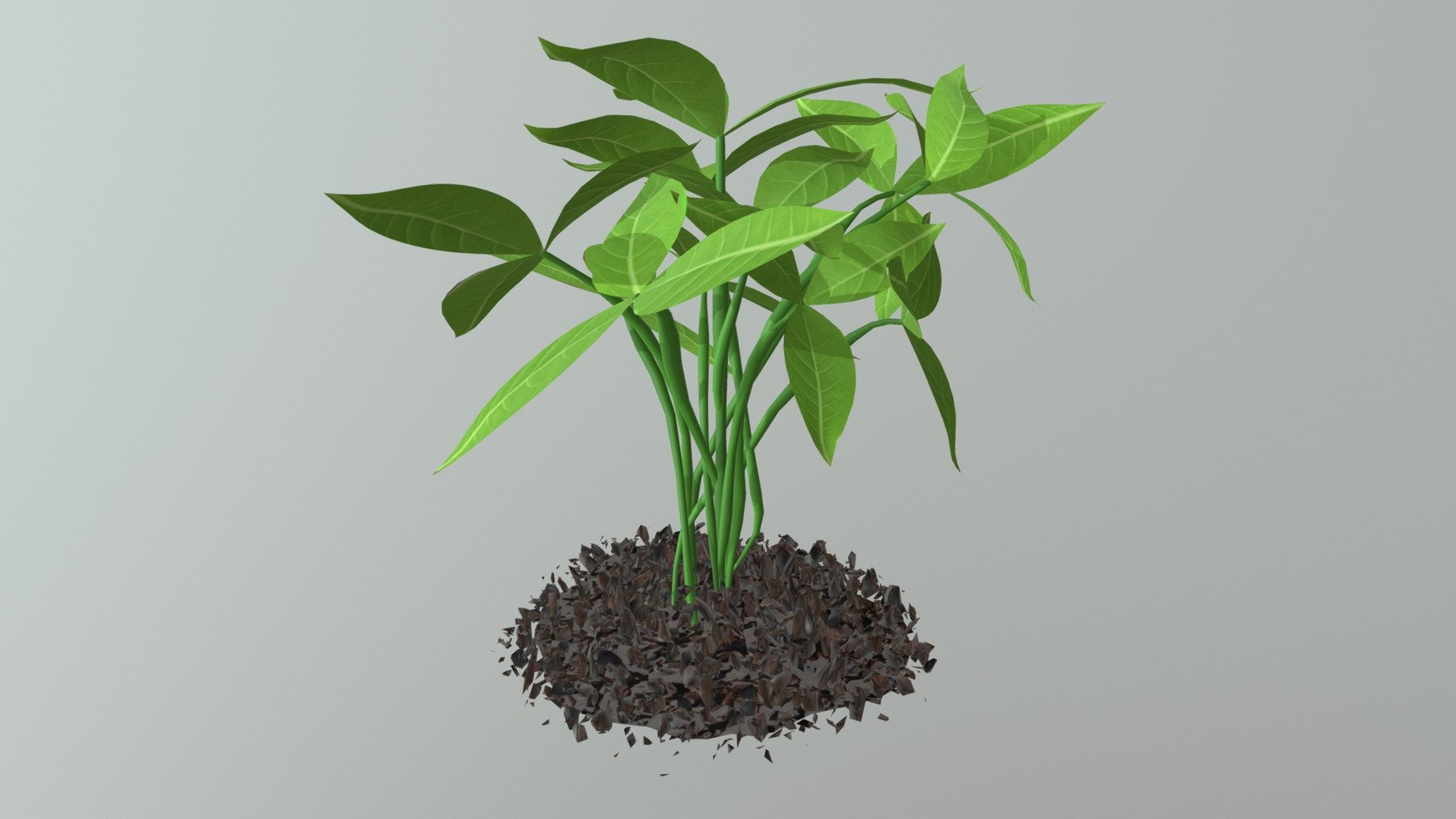 Plant Bush - 3D model by Eva Ly (@kekkyoku) [8431c9e] - Sketchfab