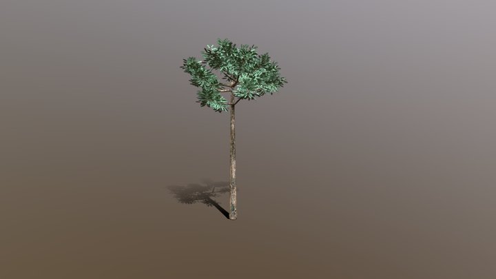dgran - Sketchfab