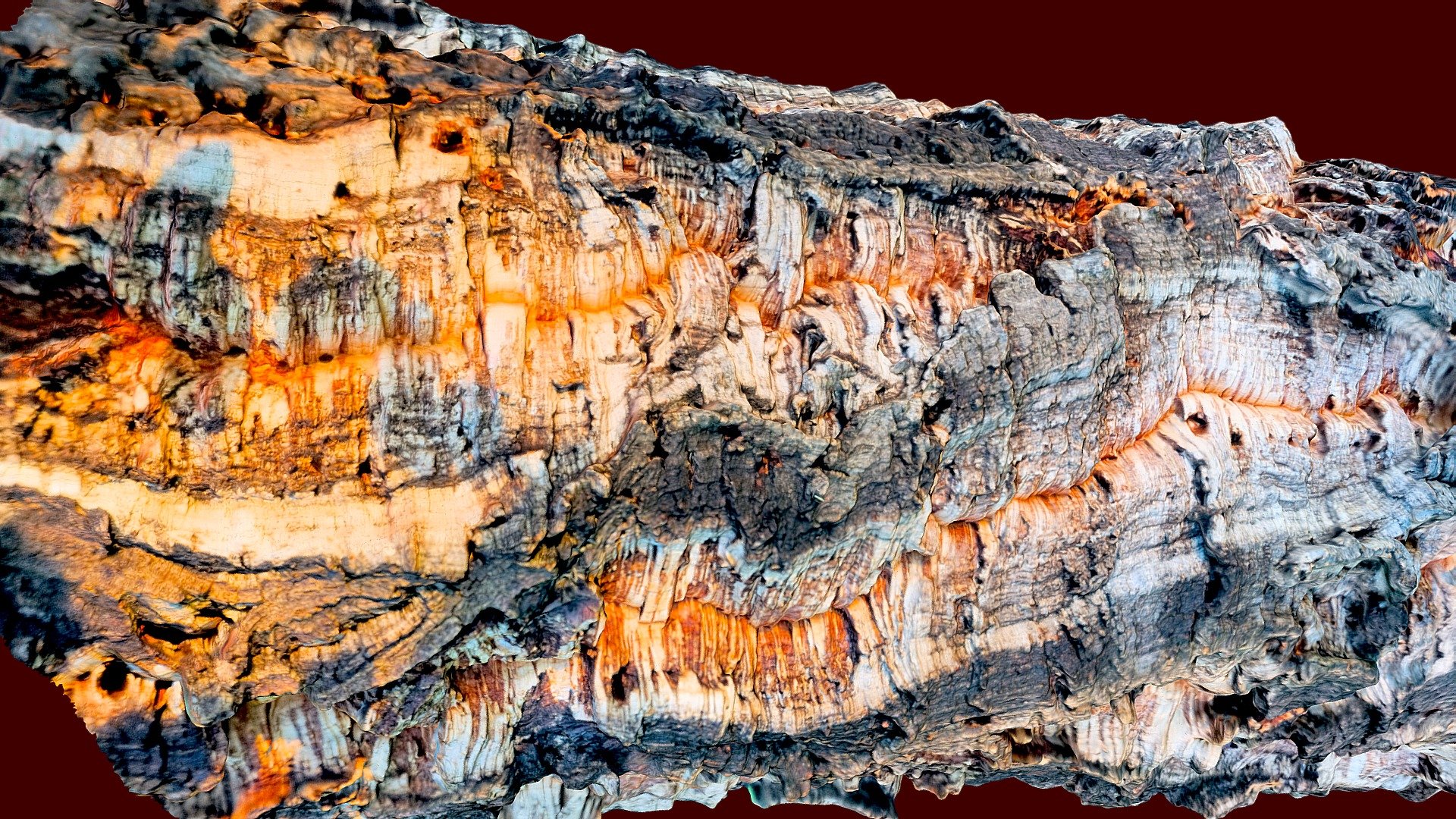 Cork Oak Bark - Download Free 3D model by John Toeppen (@toeppen ...