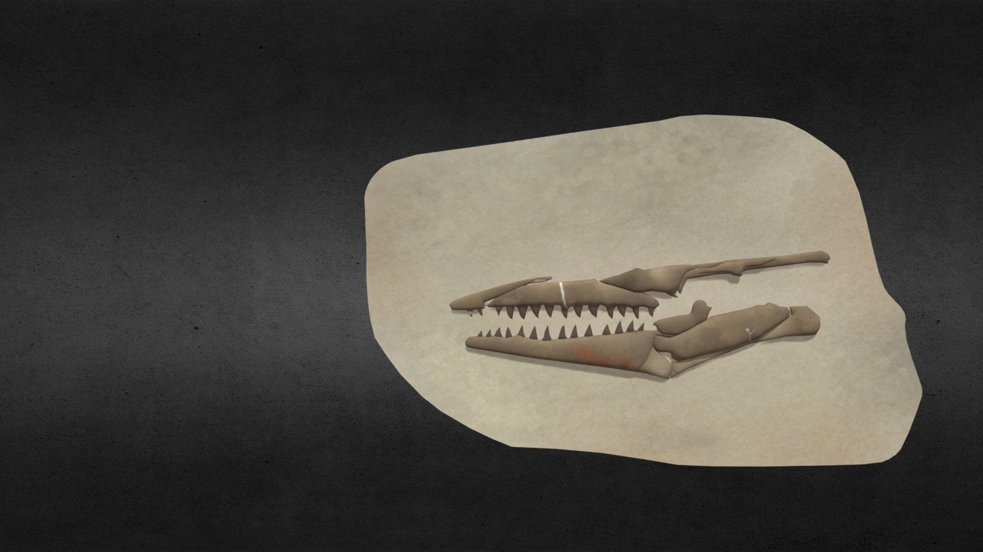 Tylosaurus skull - Download Free 3D model by Pranav iyer (@hagshatk ...
