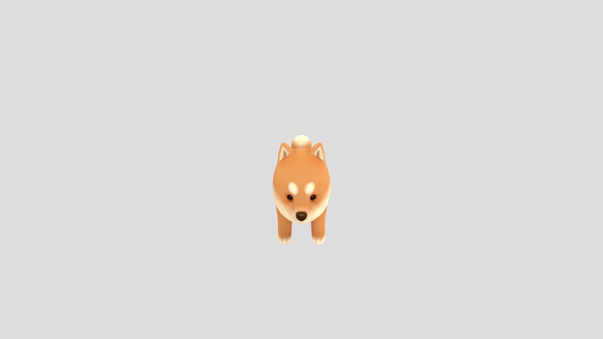 Long Shiba - Download Free 3D model by raziq.brown [84515ab] - Sketchfab