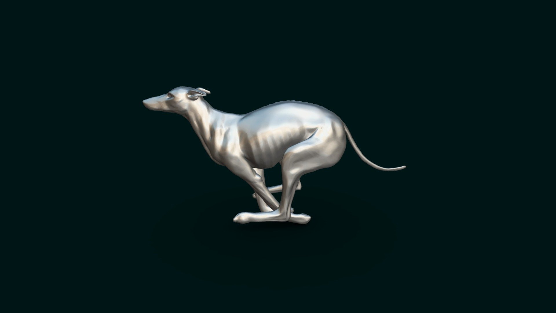 Whippet - 3D model by n__ch [84567d4] - Sketchfab
