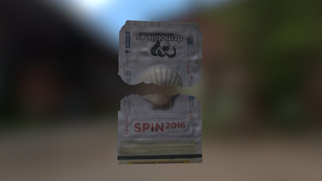 Practica 1: Concha - 3D model by orlandolopez94 [84570c6] - Sketchfab