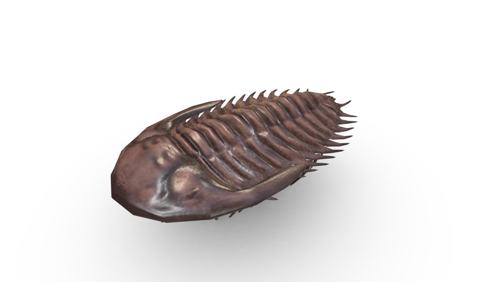 Trilobite - Buy Royalty Free 3D model by artisan3dventures [845b25e ...