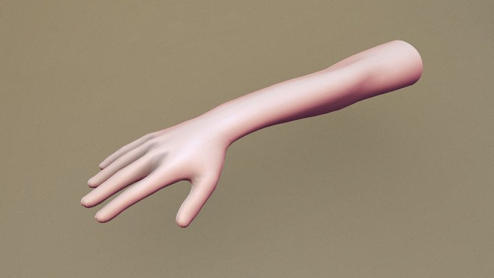 Armature 3D models - Sketchfab