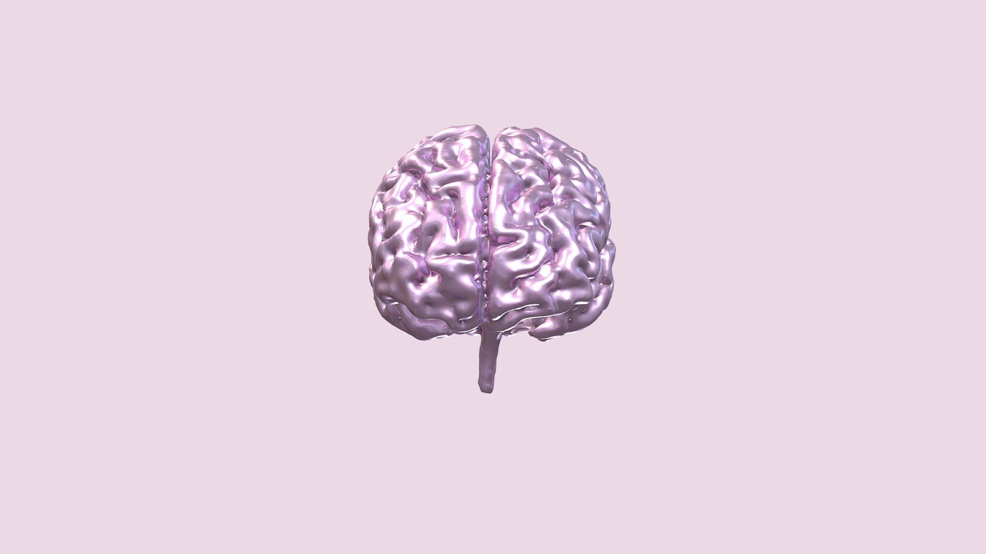 Brain Segmentation for Final Project - Download Free 3D model by blanen ...