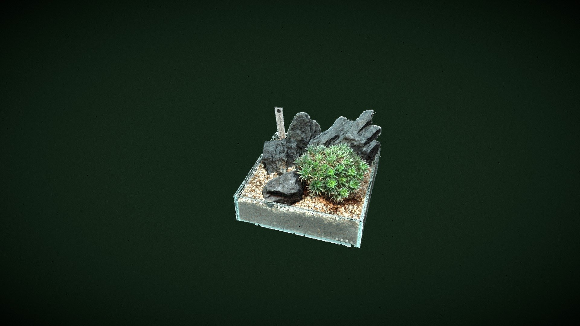 Terrarium - test - 3D model by light-box [845d8d6] - Sketchfab
