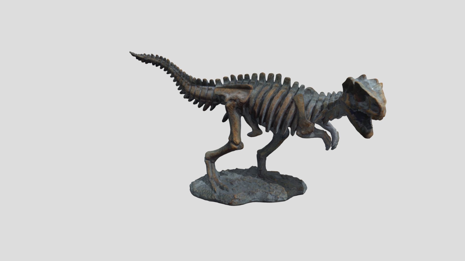 Tyrannosaurus Rex Skeleton Model - 3D model by Aberdeen City Libraries ...