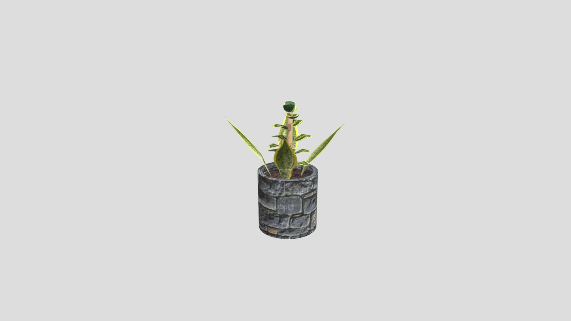 plant texture - 3D model by Fliflaflore. (@flore_17) [84697dc] - Sketchfab