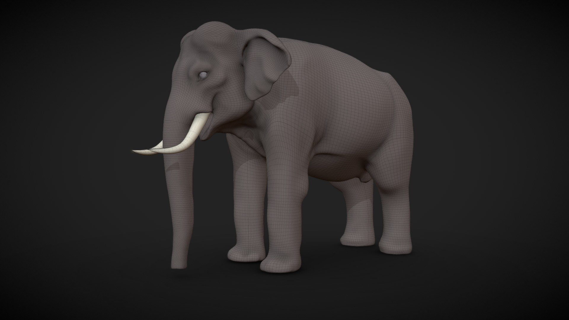 Asian Elephant Base Mesh - Buy Royalty Free 3D model by UJJWAL CHAUHAN ...