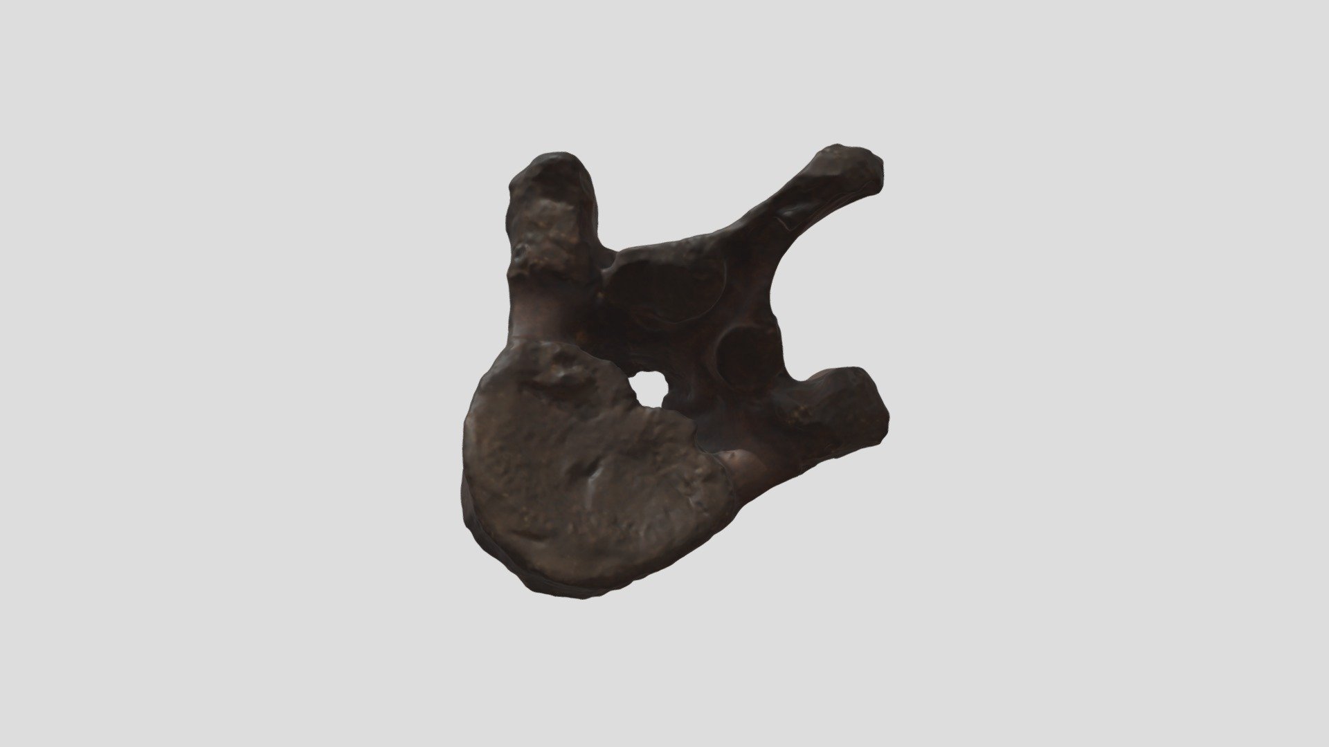 Mastodon Vertebra (VCU_3D_4150) - 3D model by Virtual Curation Lab ...