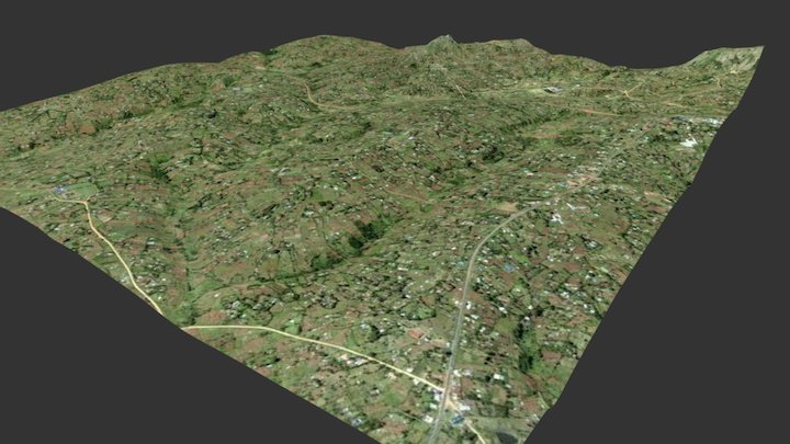 Malaria 3D models - Sketchfab