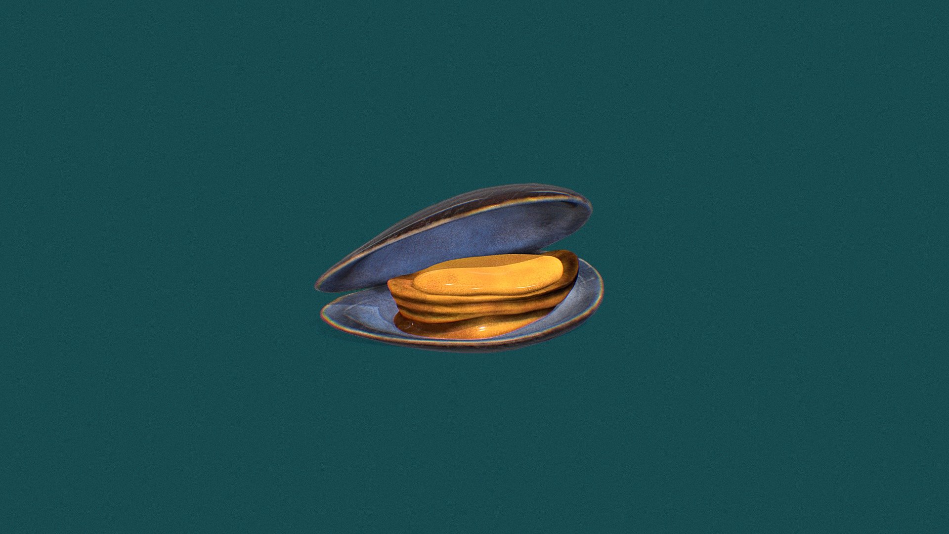 mussel - 3D model by malikalberto [8477fd8] - Sketchfab
