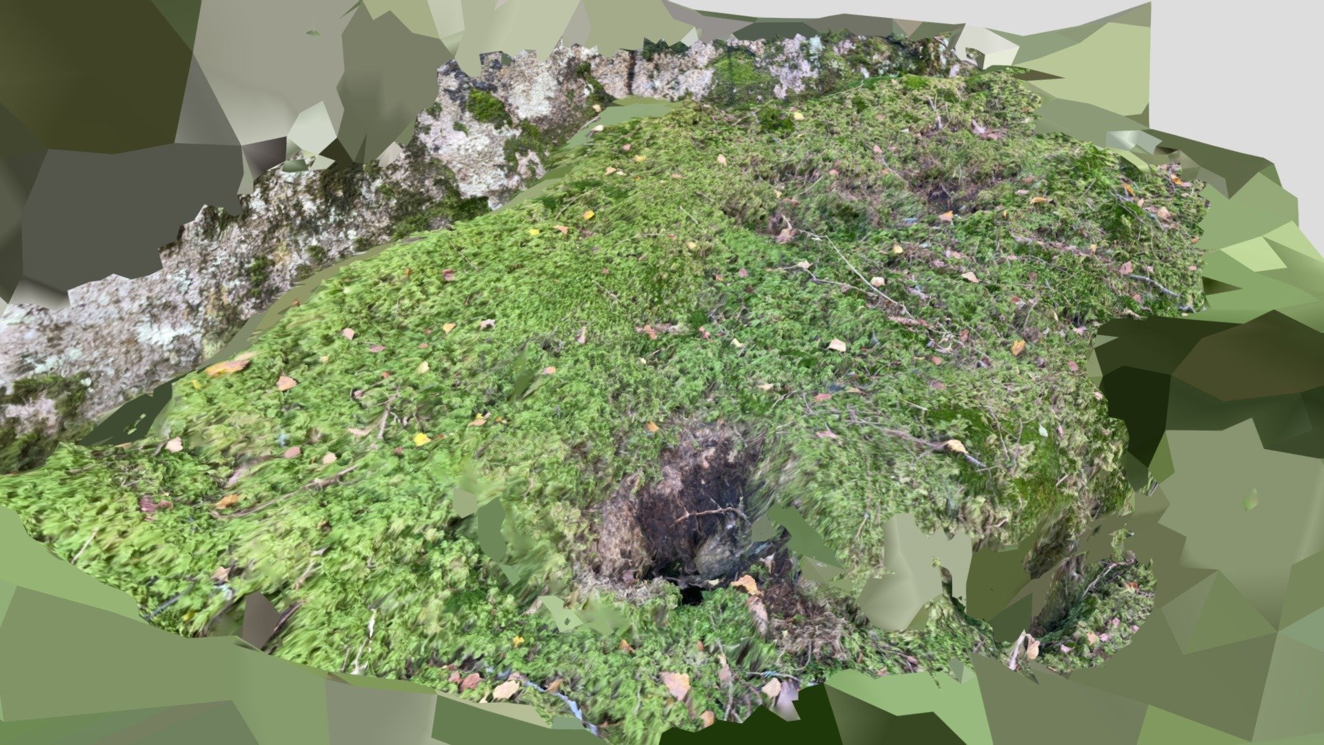 Mossy Rock - Forest - 3D model by Majzim [8478b09] - Sketchfab