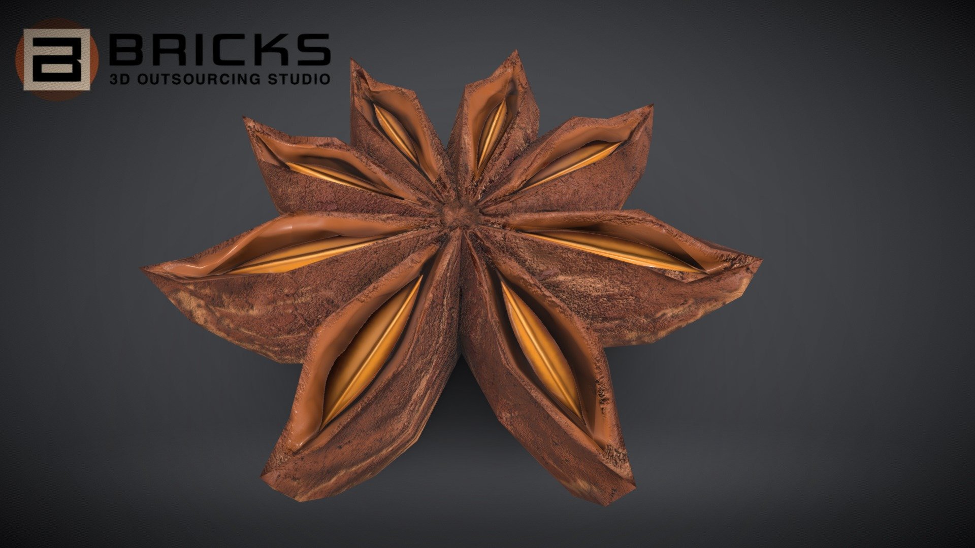 Anise Star - Buy Royalty Free 3D model by Bricks Studio ...