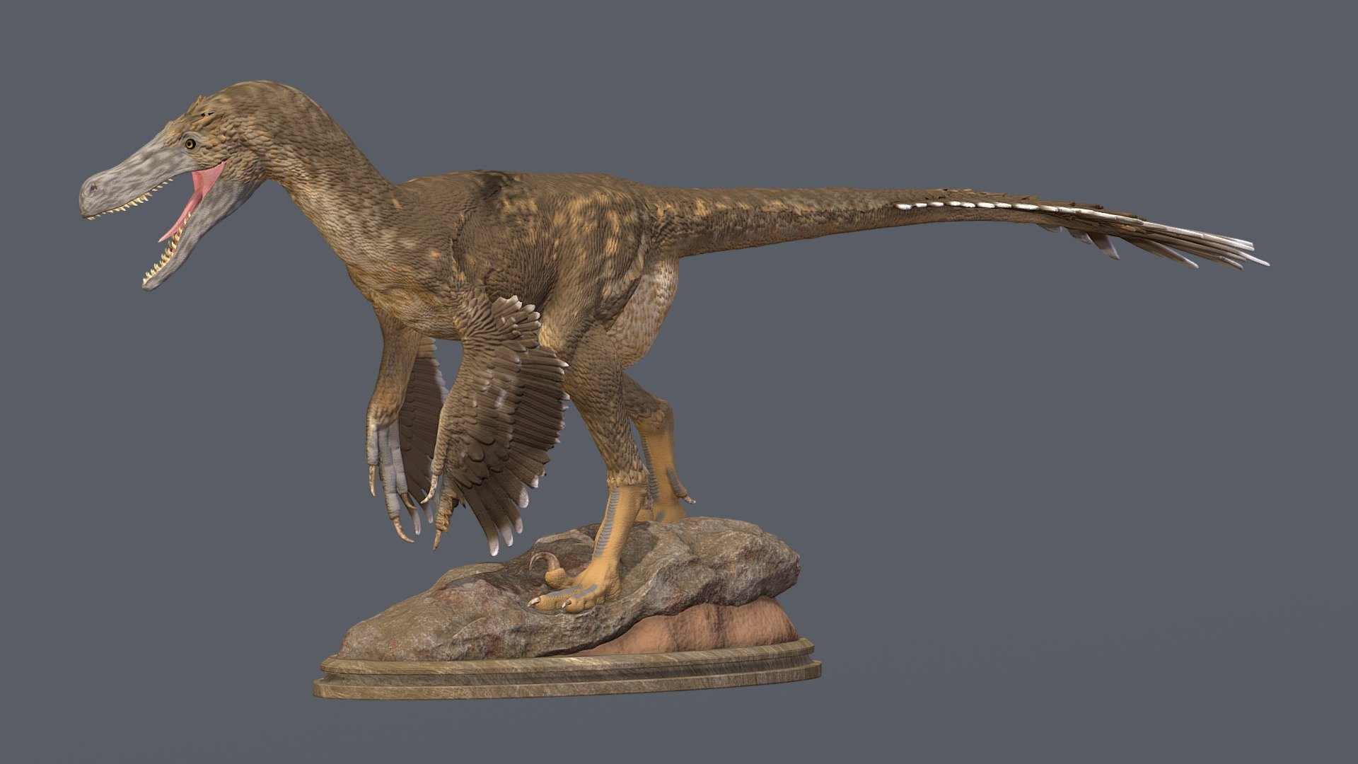 Velociraptor mongoliensis - 3D model by vfb_paleoart (@vfbrugnola ...