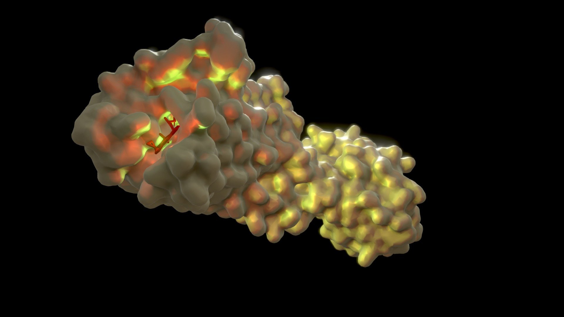 Beta2_AR - 3D model by XR Life Science (@GLS) [848839e] - Sketchfab