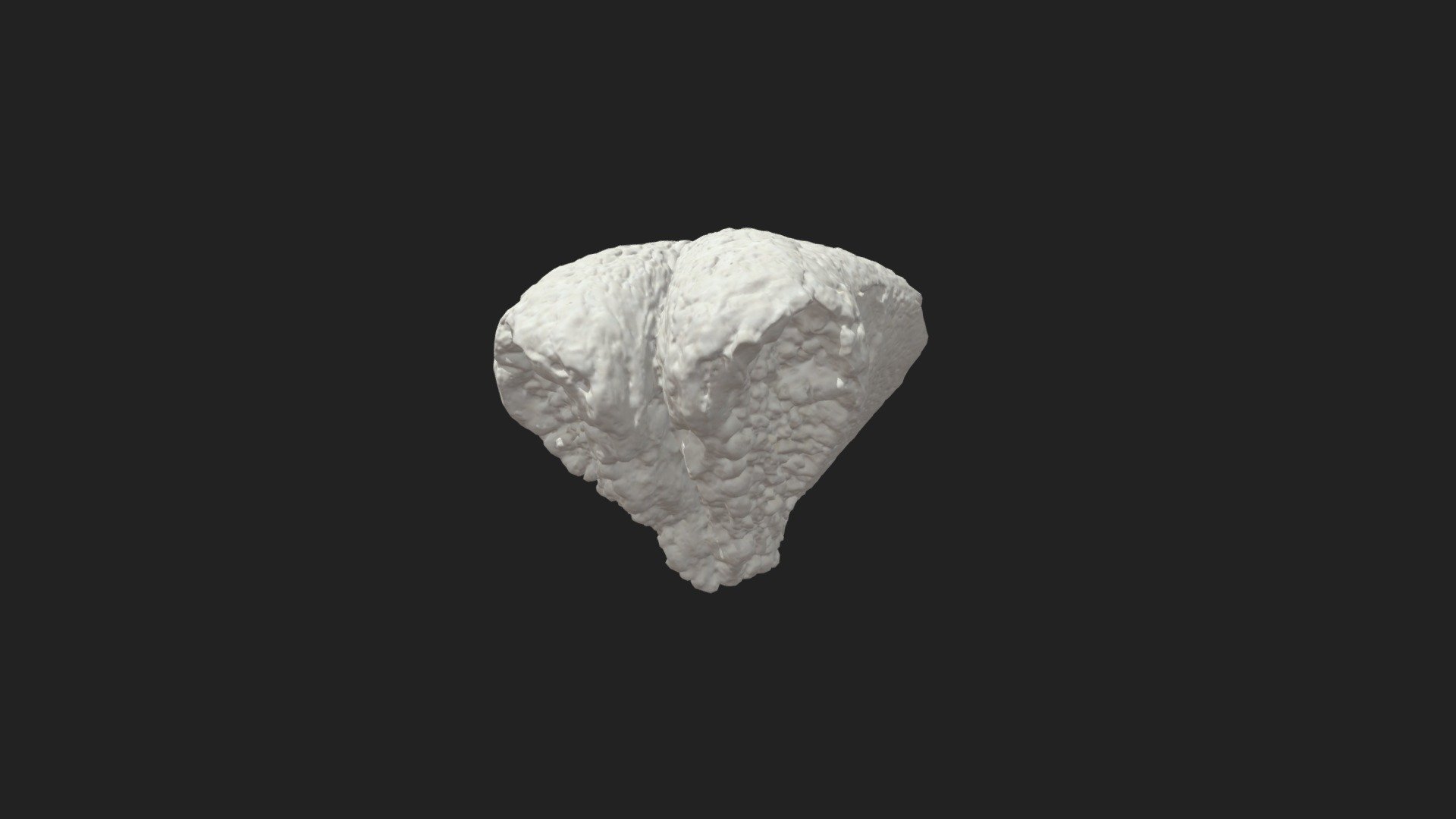 rostral bone (os rostrale) pig - 3D model by vetanatMunich [8489296 ...