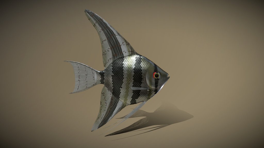 Animals and Insects - A 3D model collection by nando437 - Sketchfab