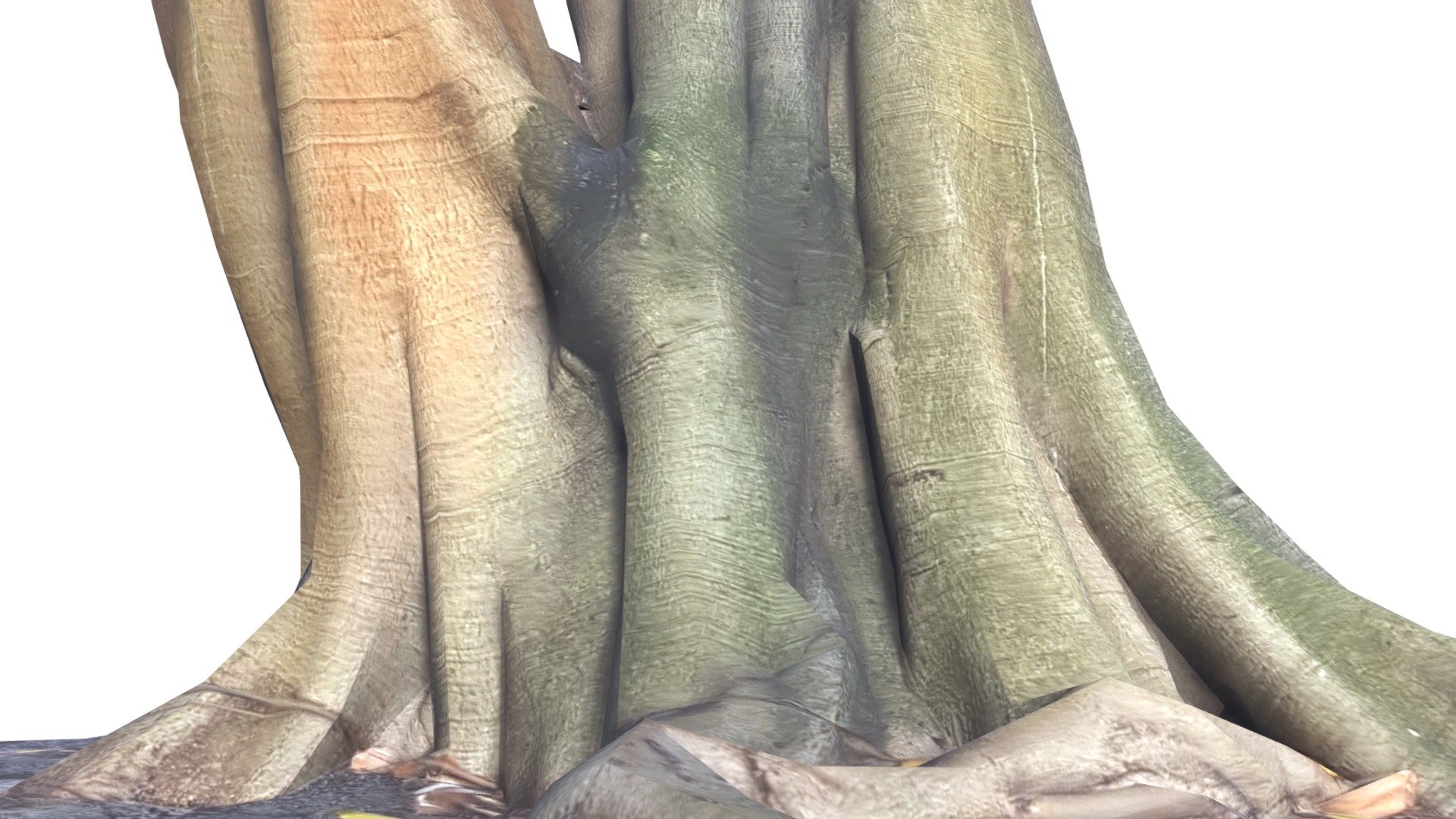 TREE TRUNK 19 - 3D model by 3DWALKABOUT [8499464] - Sketchfab