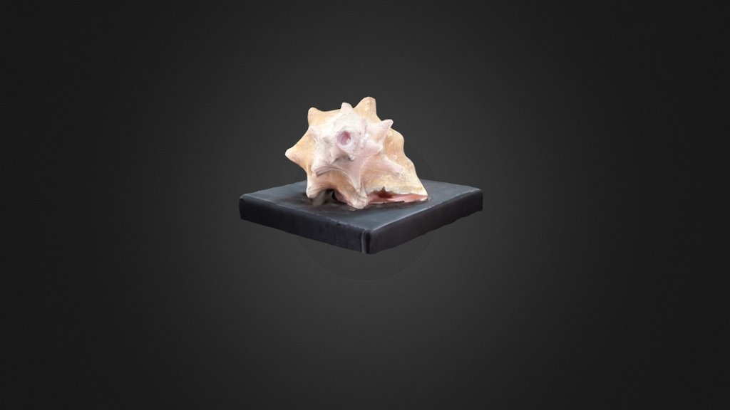 Freeform scan example - 3D model by sphvy [84a683d] - Sketchfab
