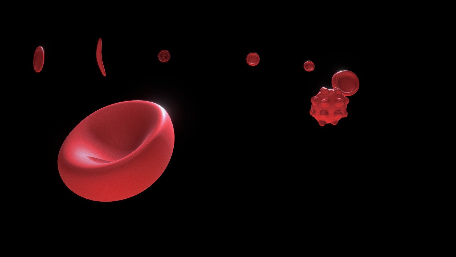 Morphologies of red blood cells - 3D model by bioilustra [84ac327 ...