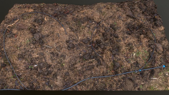 Plantation 3D models - Sketchfab