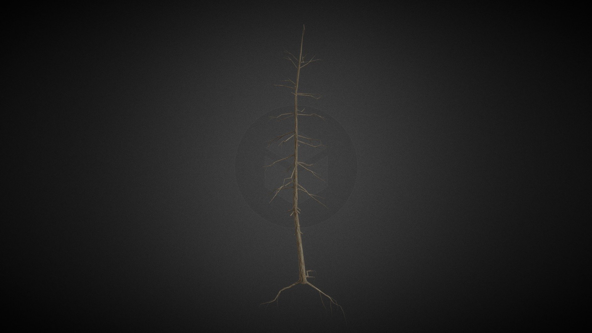 Mid Poly Dead Pine Tree - Download Free 3D model by sujirour [84b73e8 ...