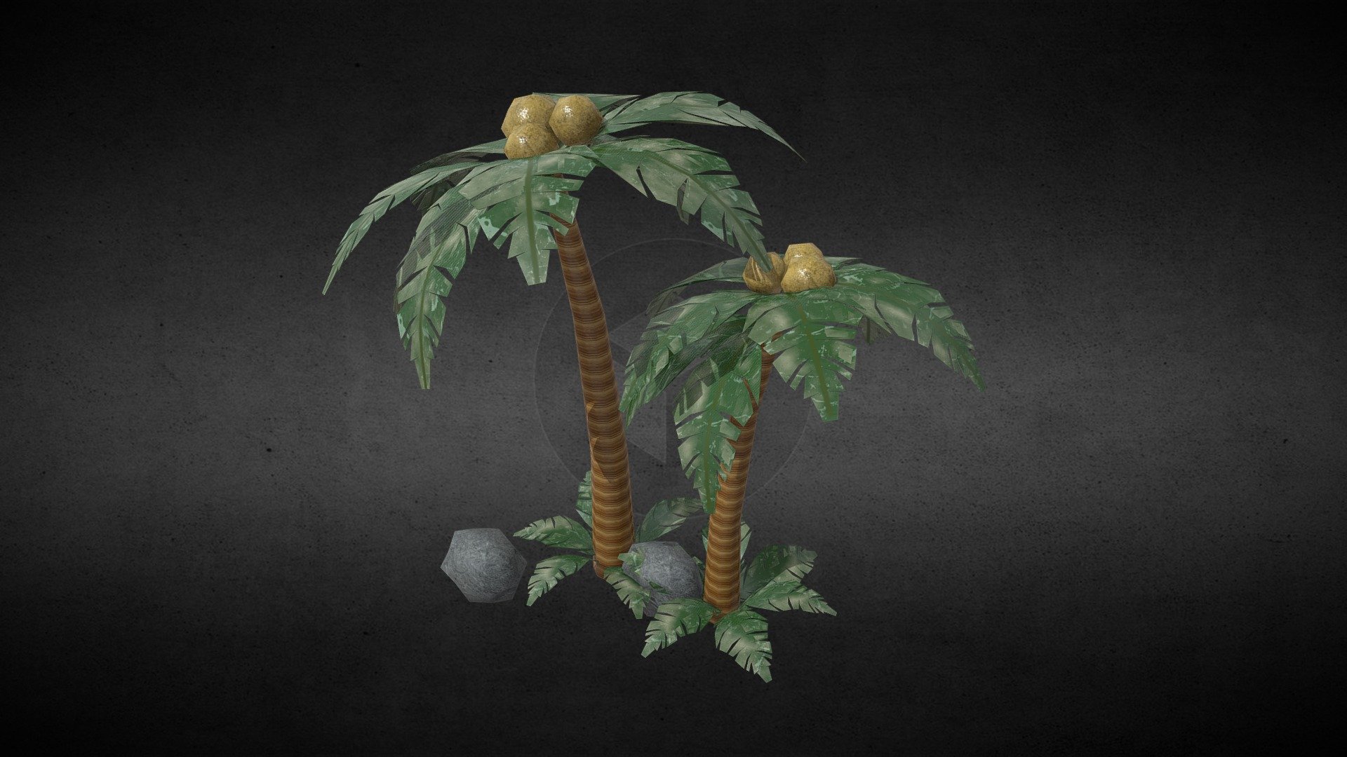 coconut tree - 3D model by hhh676 [84bdc44] - Sketchfab