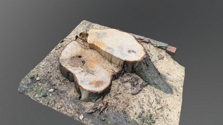 Deforestation 3D models - Sketchfab