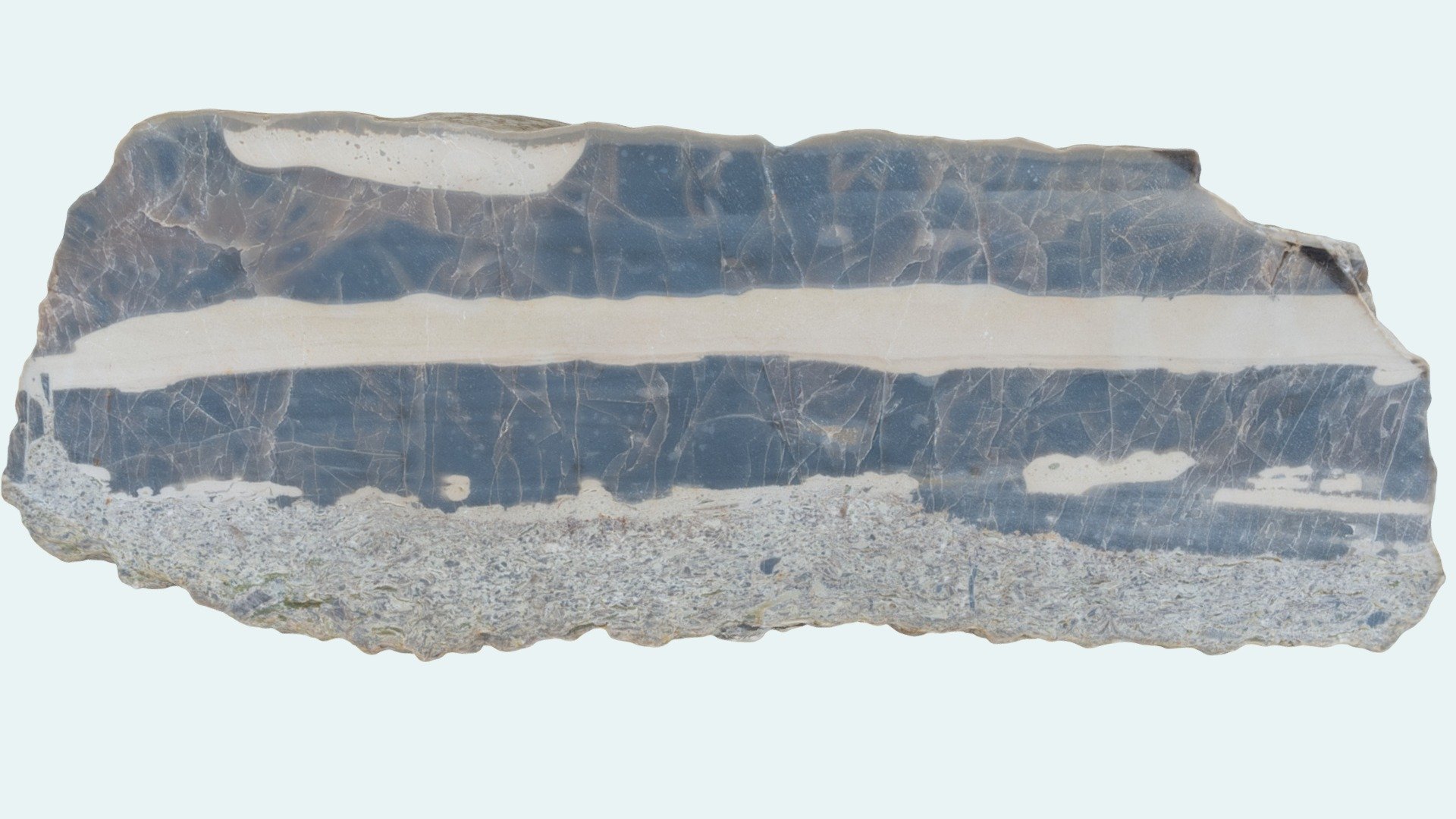 Radiolarite - Download Free 3D model by Ecole Nationale Supérieure de ...