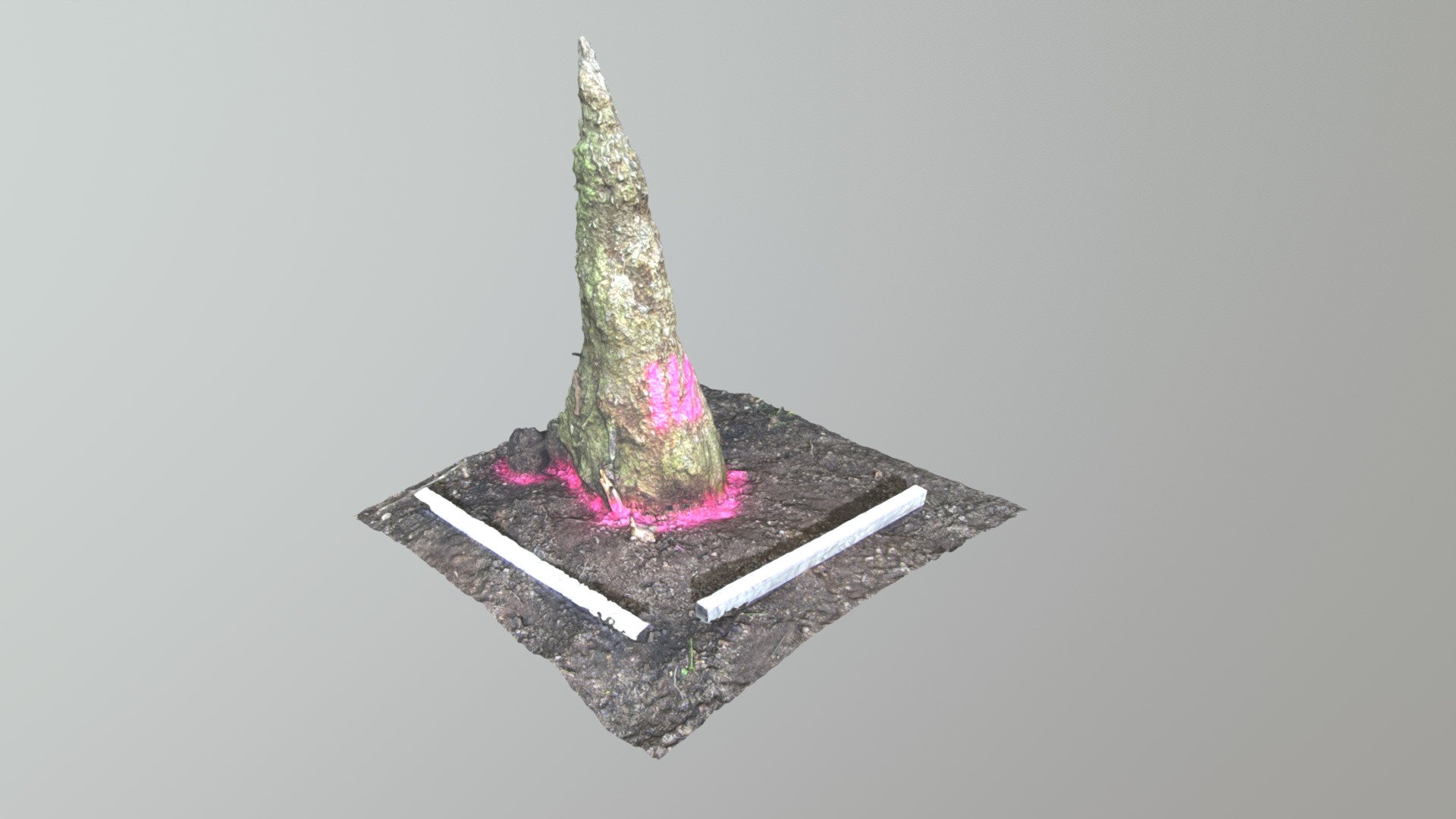 Termite mound Mn8-2016 - 3D model by pnauer [84c45cc] - Sketchfab