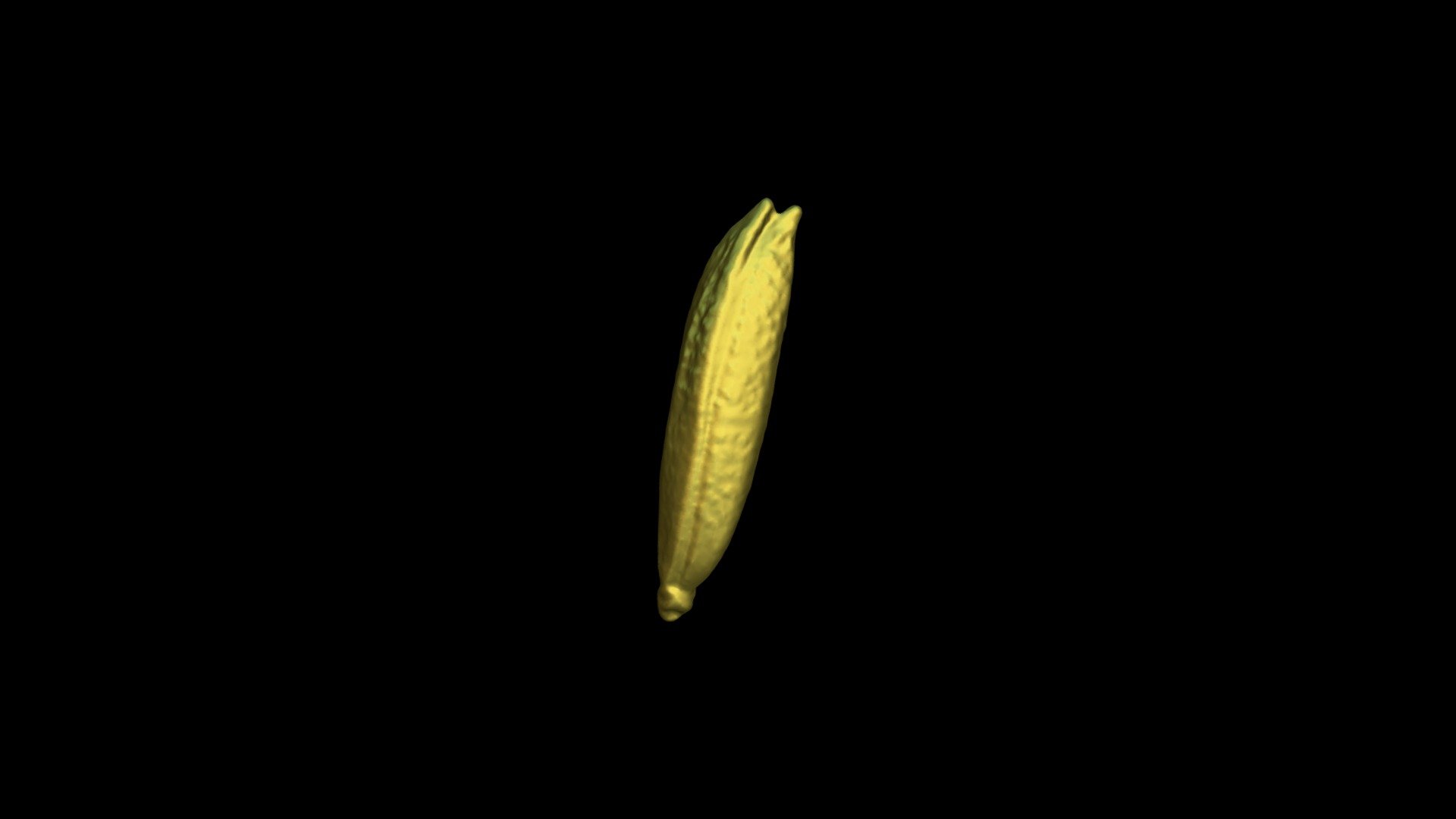Rice with shell - Download Free 3D model by Thunk3D 3D Scanner (@Lily ...