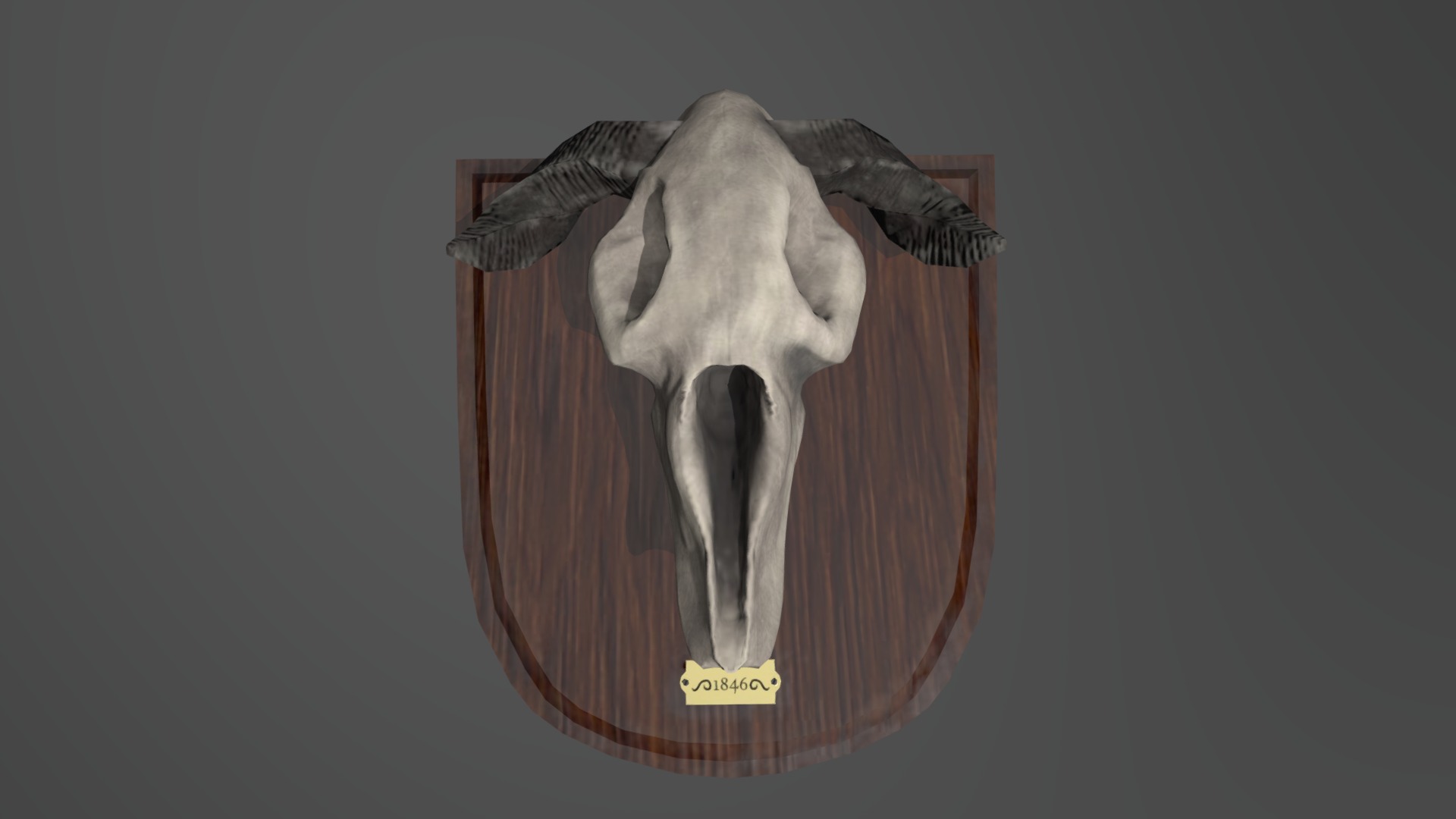 Hunters Trophy - 3D model by GHodgesART [84d66c1] - Sketchfab