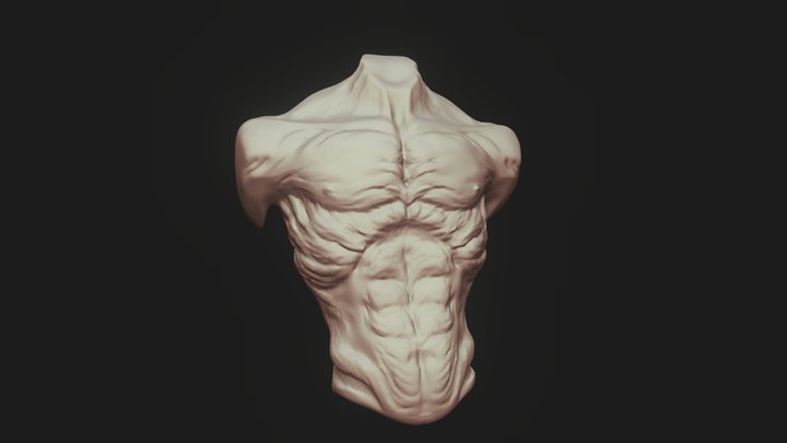 Torso 3D models - Sketchfab