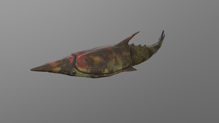 Pteraspis 3D models - Sketchfab