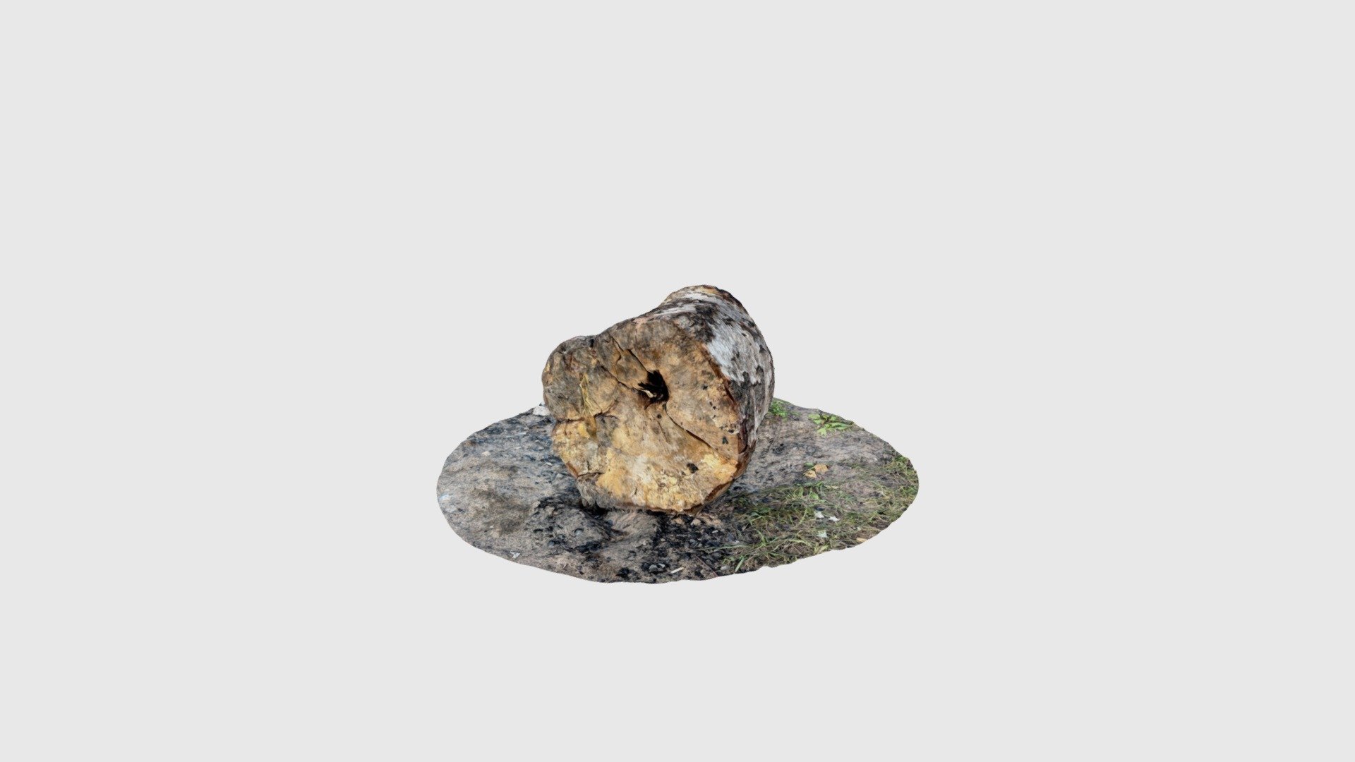 Wood timber 3d scan free - Download Free 3D model by brntpc [84fa57f ...